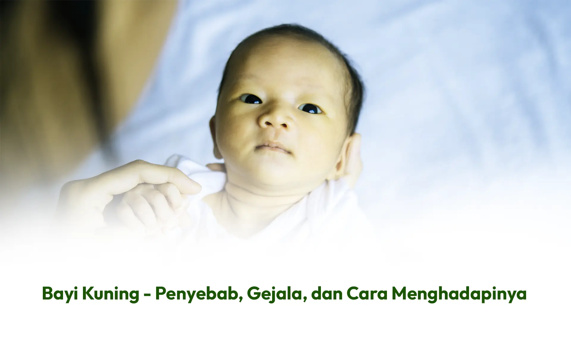 Charitas Group | Bayi Kuning - Penyebab, Gejala, dan Cara Menghadapinya